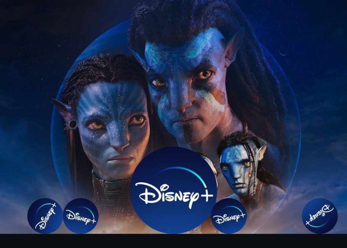 Jahresrückblick 2022 von Bena